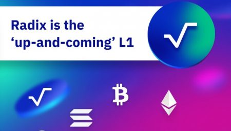 Radix (XRD) Coin Nedir ? XRD Nasıl Alınır ? - Kıyaslıyoruz