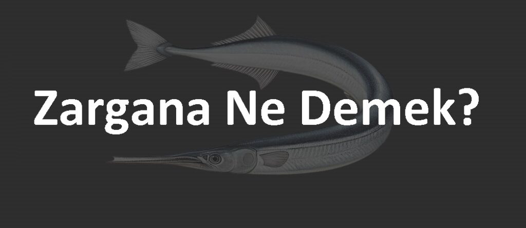Zargana Ne Demek? - Kıyaslıyoruz